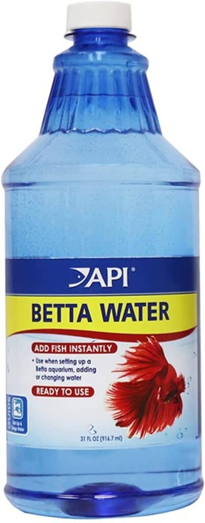 Water for Betta Fish: 6 Parameters to Consider