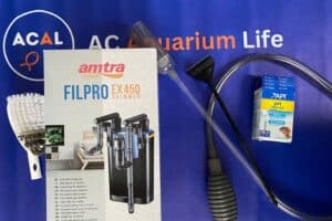 How to Keep Fish Tank Clean: 15 Easy Methods